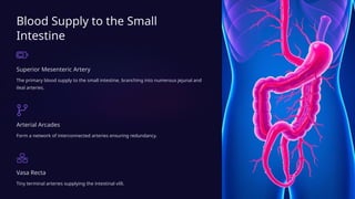 Blood-Supply-and-Venous-Drainage-of-the-GI-Tract.pptx