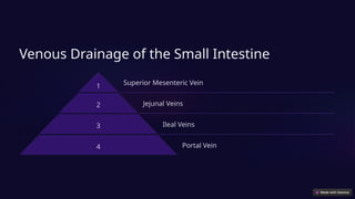 Blood-Supply-and-Venous-Drainage-of-the-GI-Tract.pptx
