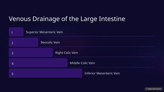 Blood-Supply-and-Venous-Drainage-of-the-GI-Tract.pptx