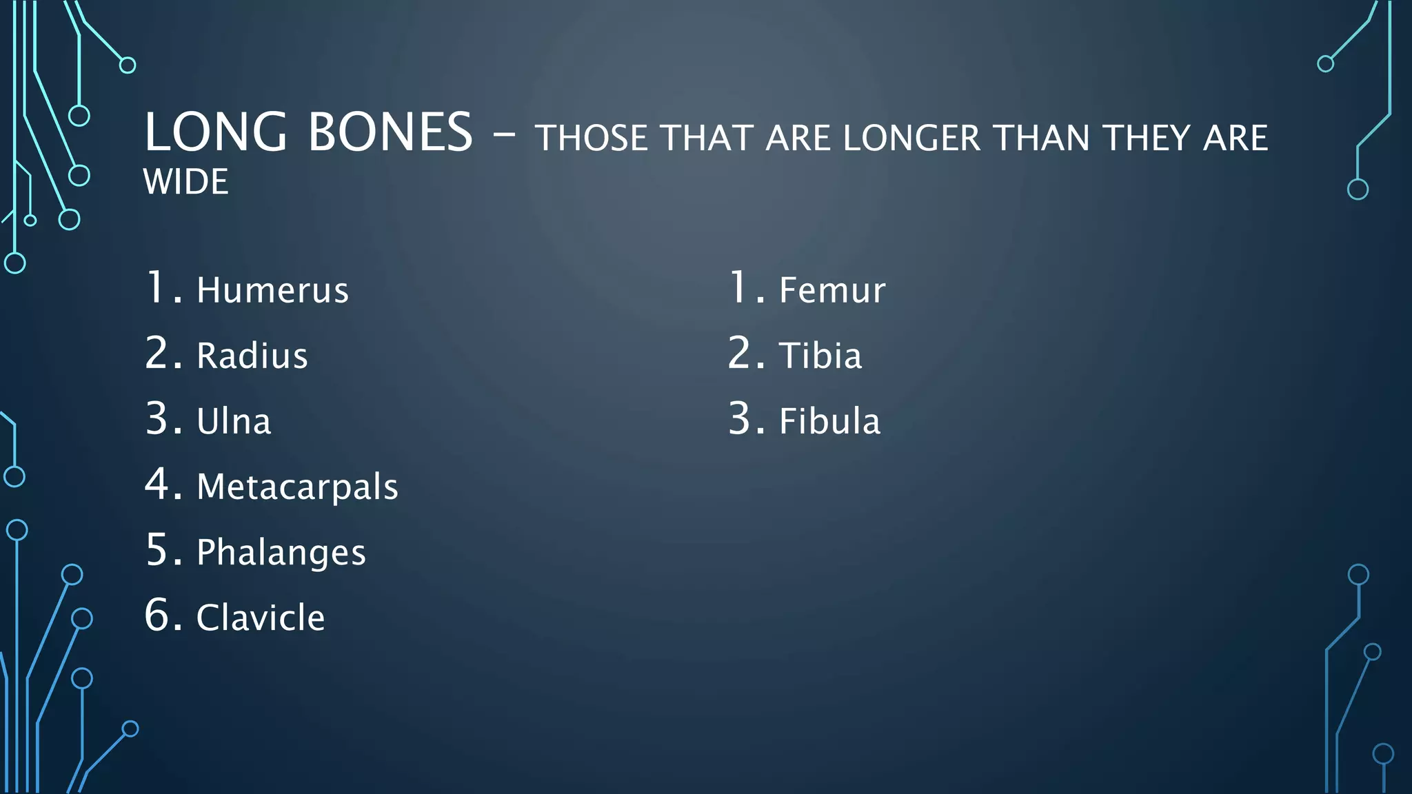 Blood Supply of Long Bone by Aakash Pandit | PPTX | Bone and Joint Conditions | Diseases and ...