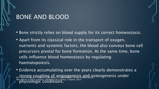 Blood Supply of Long Bone by Aakash Pandit | PPTX