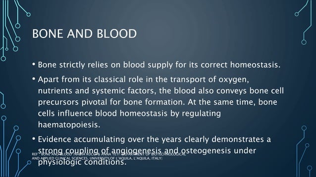 Blood Supply of Long Bone by Aakash Pandit | PPTX | Bone and Joint ...