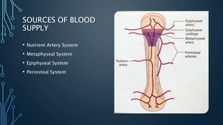 Blood Supply of Long Bone by Aakash Pandit | PPTX
