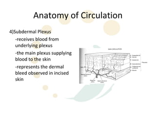 Blood supply-of-the-skin | PPT