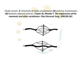Blood supply-of-the-skin | PPT