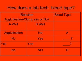 Blood Typing | PPT