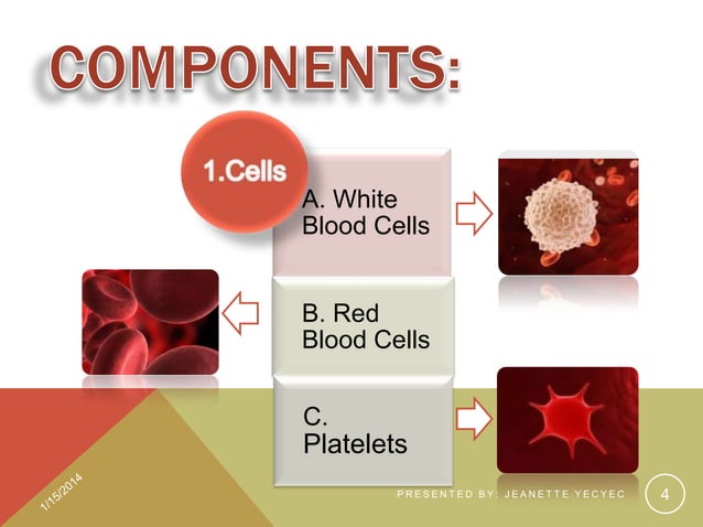 Blood (Definition, Functions and its Components) | PPTX