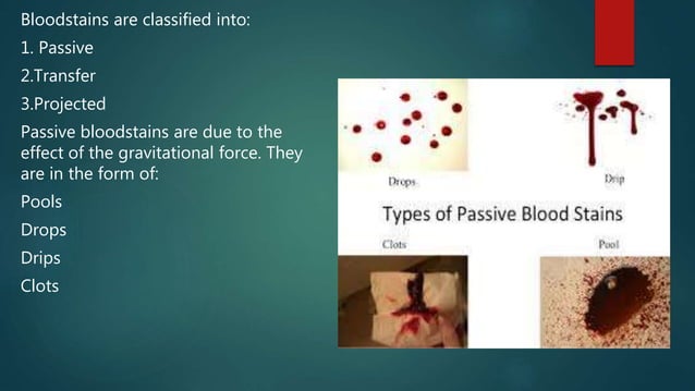 Bloodstain pattern analysis | PPTX | Blood Disorders | Diseases and ...