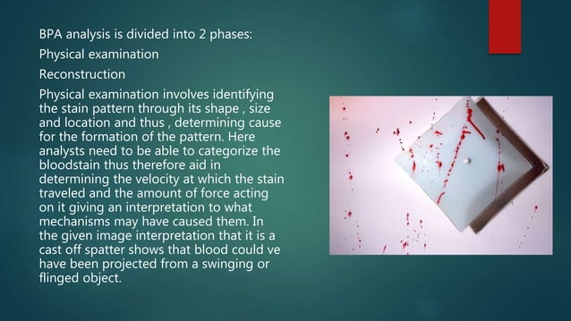 Bloodstain pattern analysis | PPTX | Blood Disorders | Diseases and ...
