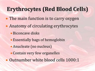 Blood | PPTX
