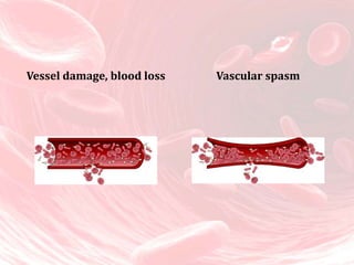 Blood | PPTX