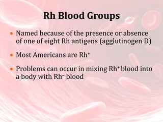 Blood | PPTX