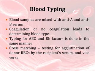 Blood | PPTX
