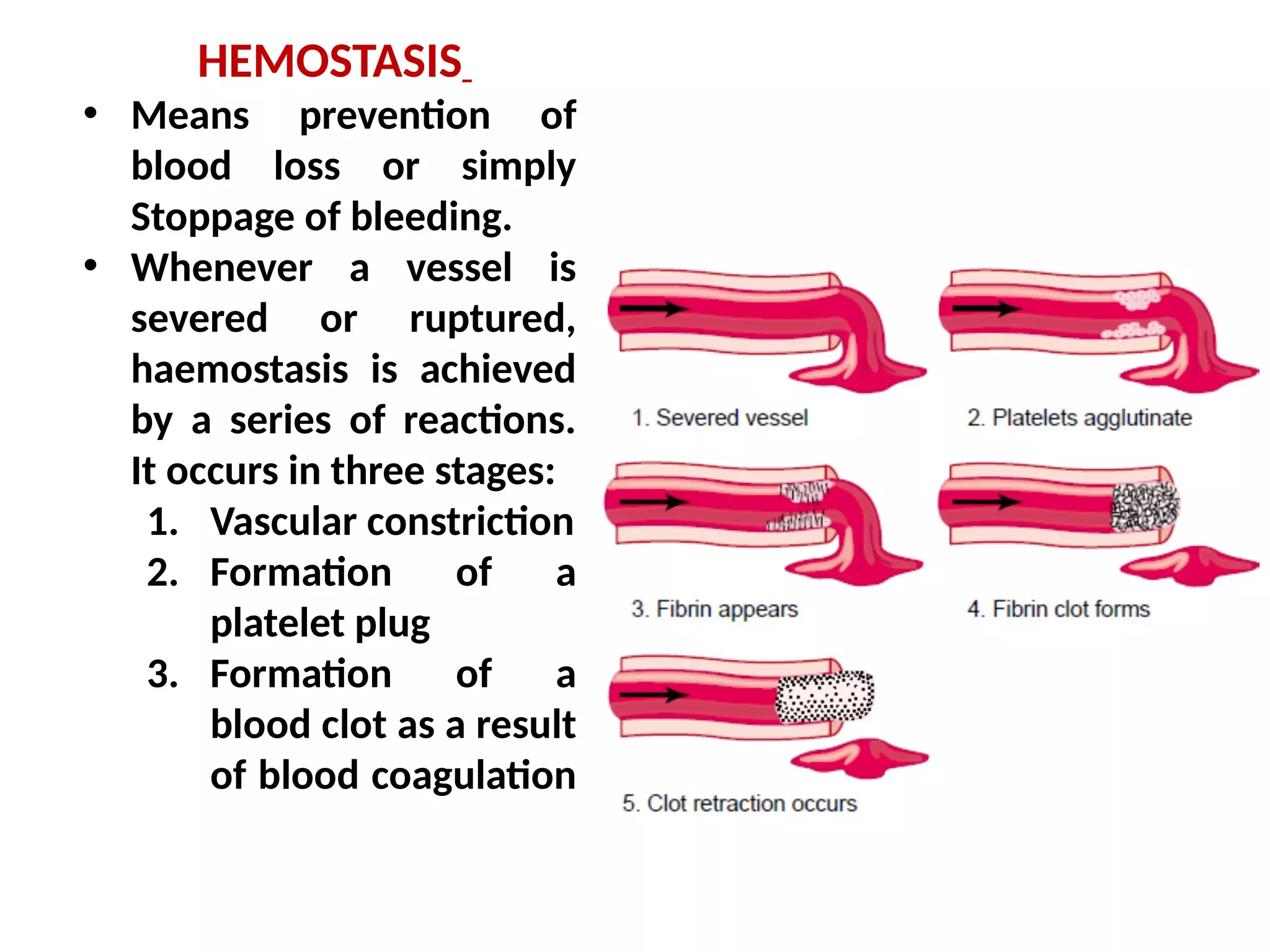 blood 1.pdf