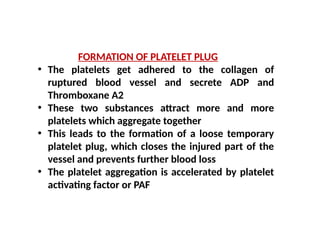 blood 1.pdf