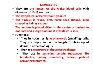 blood 1.pdf