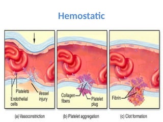 Blood , its introduction, its components | PPT