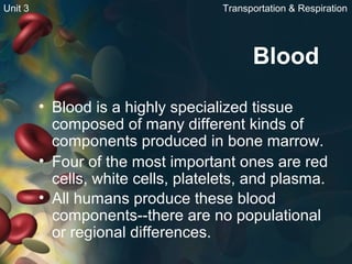 Blood | PPT