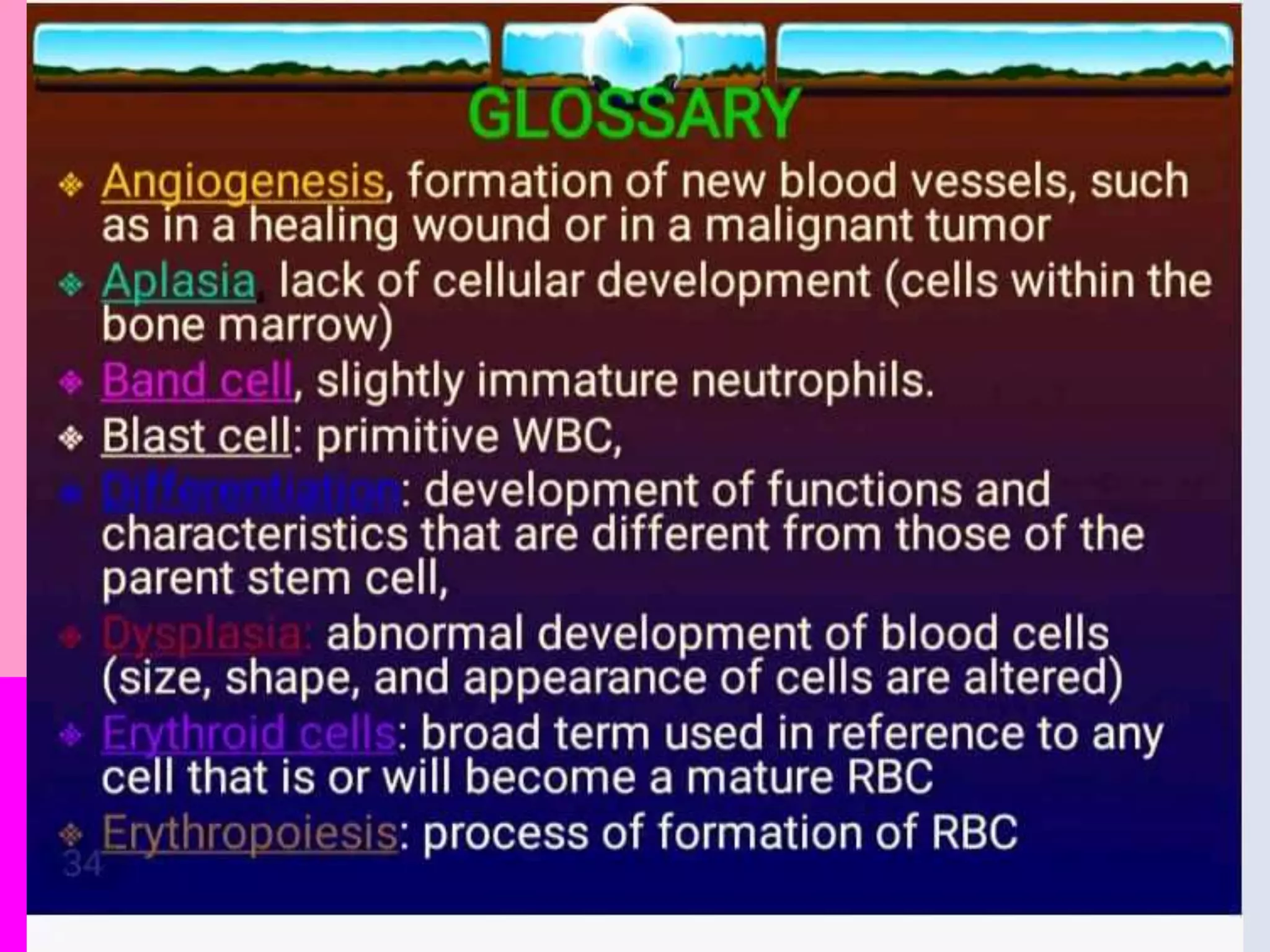 Blood anatomy and physiology slideshare | PPTX