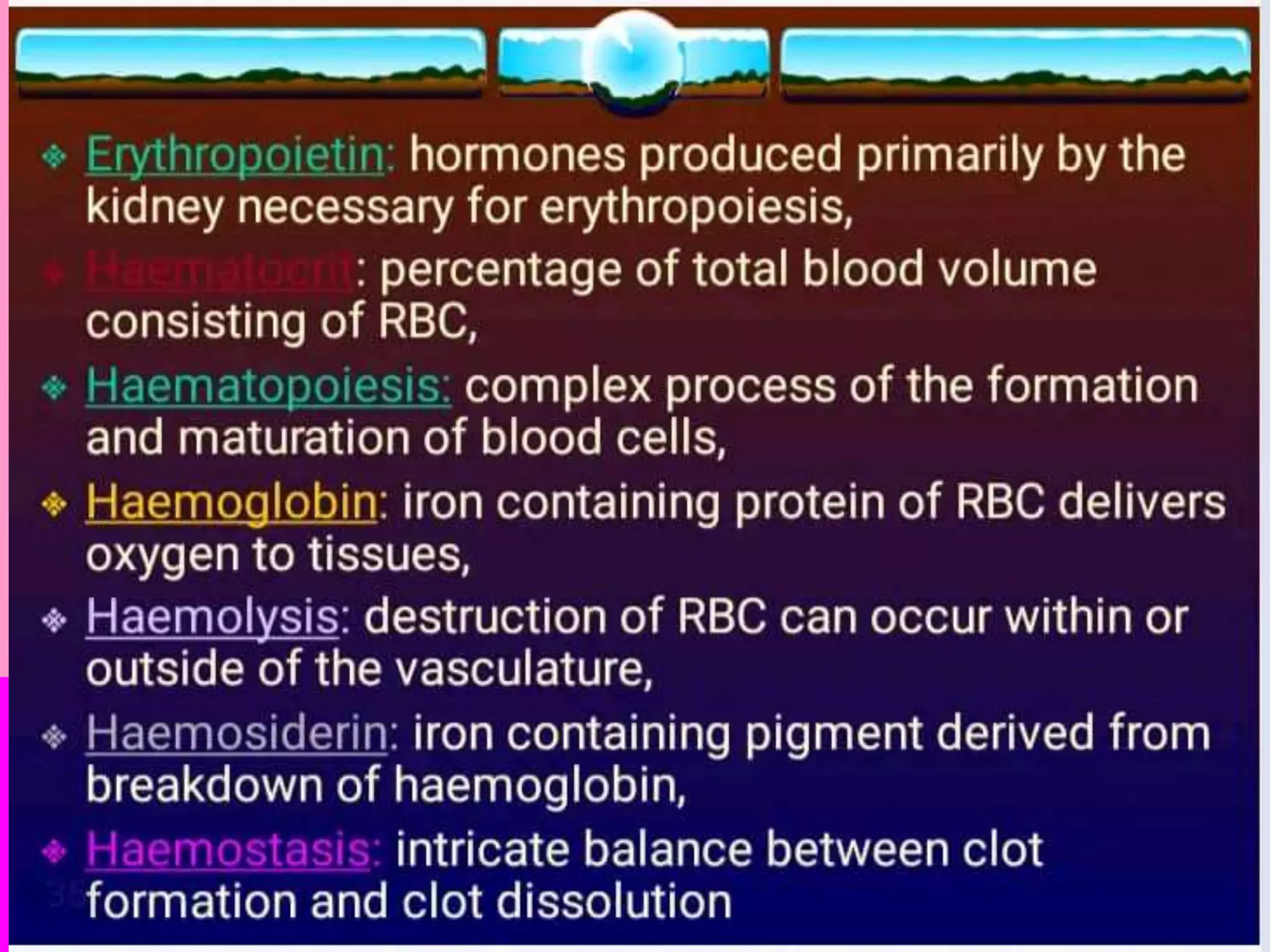 Blood anatomy and physiology slideshare | PPTX
