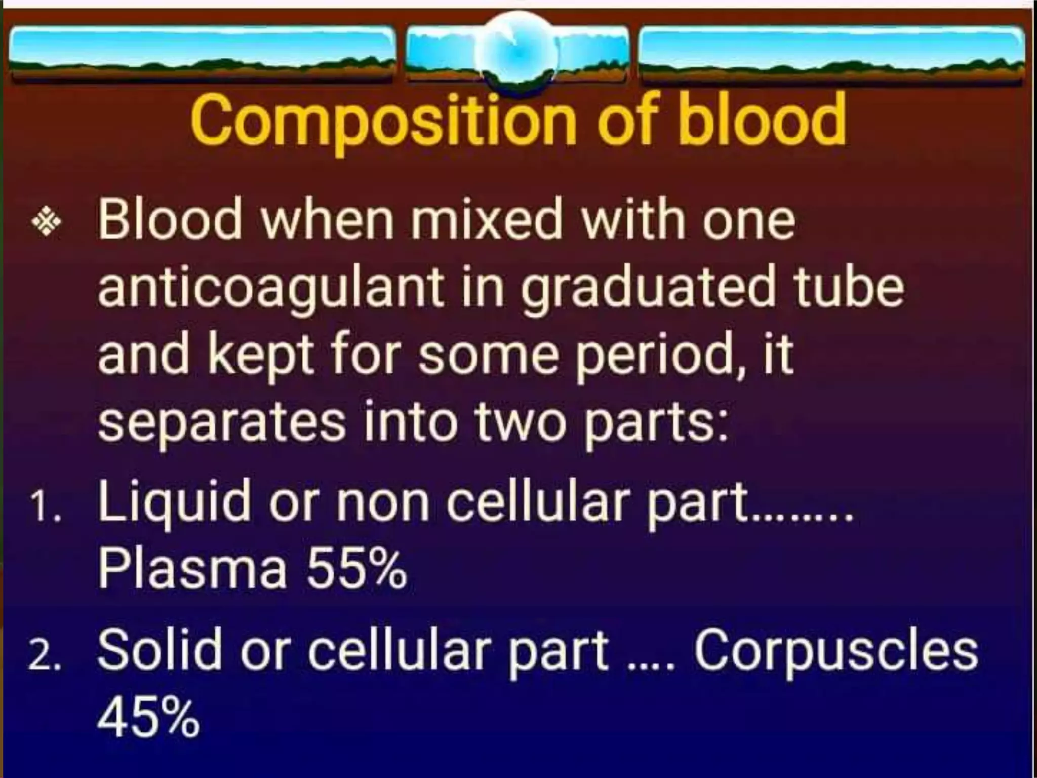 Blood anatomy and physiology slideshare | PPTX