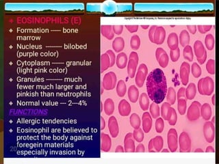 Blood anatomy and physiology slideshare | PPTX