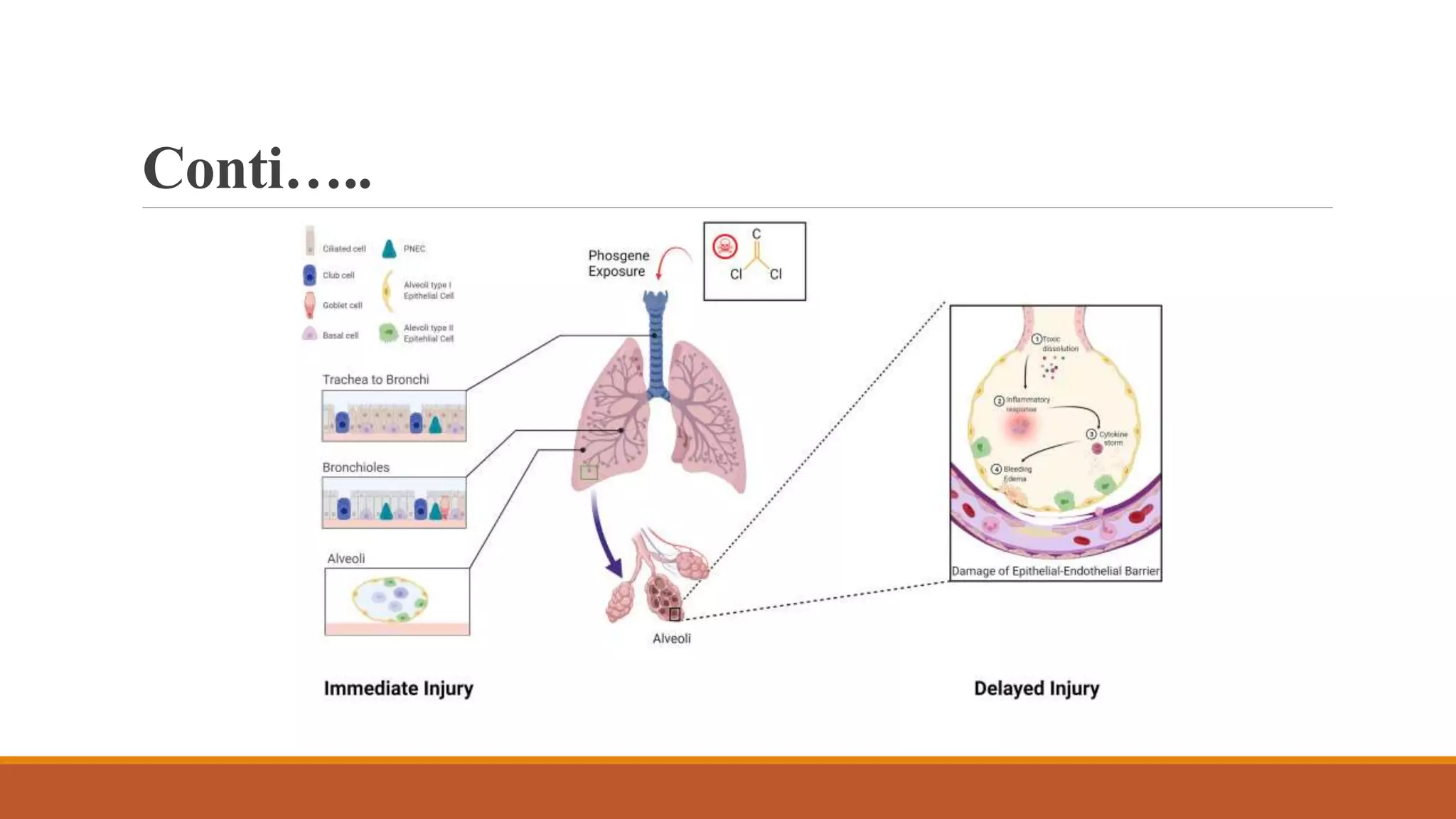 Blood agents and choking agents (1).pptx
