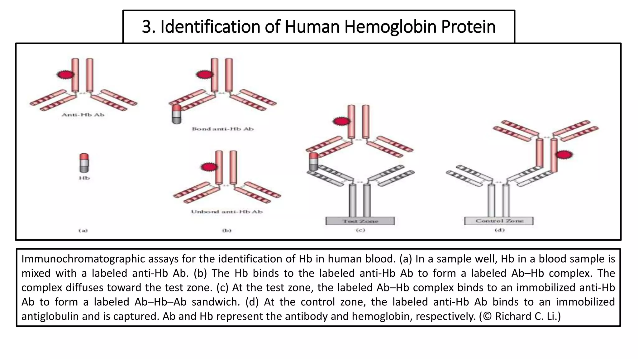 Blood analysis (Forensic Serology) | PPTX