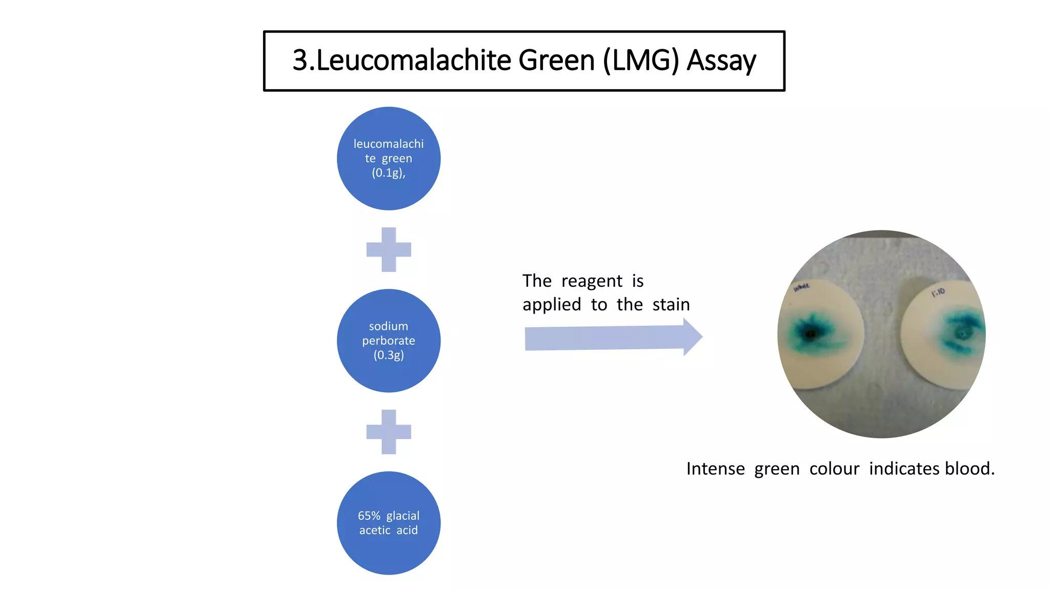 Blood analysis (Forensic Serology) | PPTX