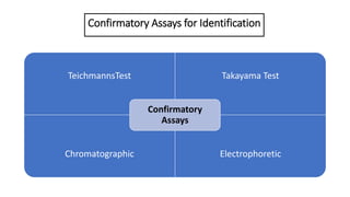 Blood analysis (Forensic Serology) | PPTX
