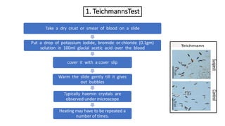 Blood analysis (Forensic Serology) | PPTX