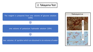 Blood analysis (Forensic Serology) | PPTX