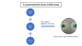 Blood analysis (Forensic Serology) | PPTX