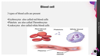 Blood analysis | PPTX