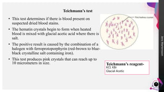 Blood analysis | PPTX