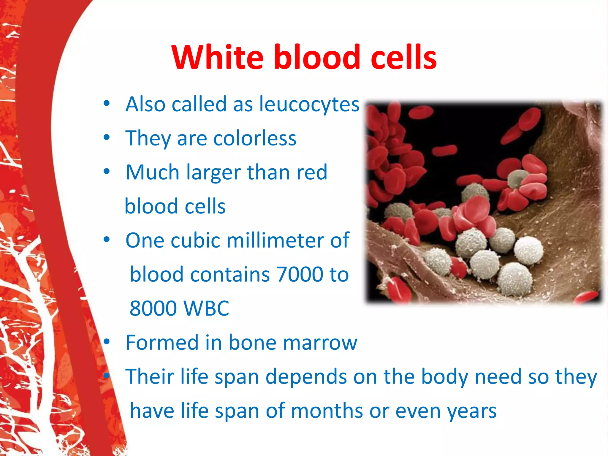 Blood anatomy | PPTX
