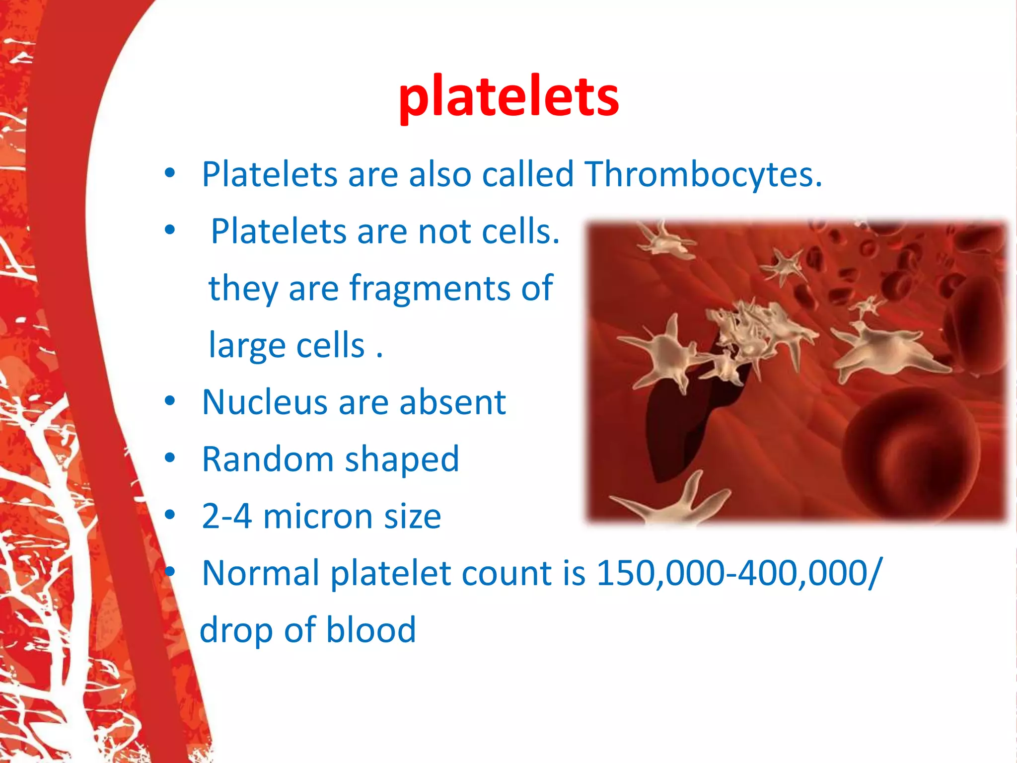 Blood anatomy | PPTX