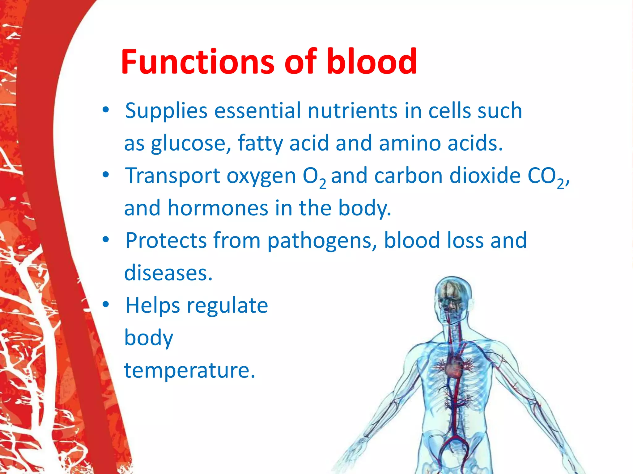 Blood anatomy | PPTX