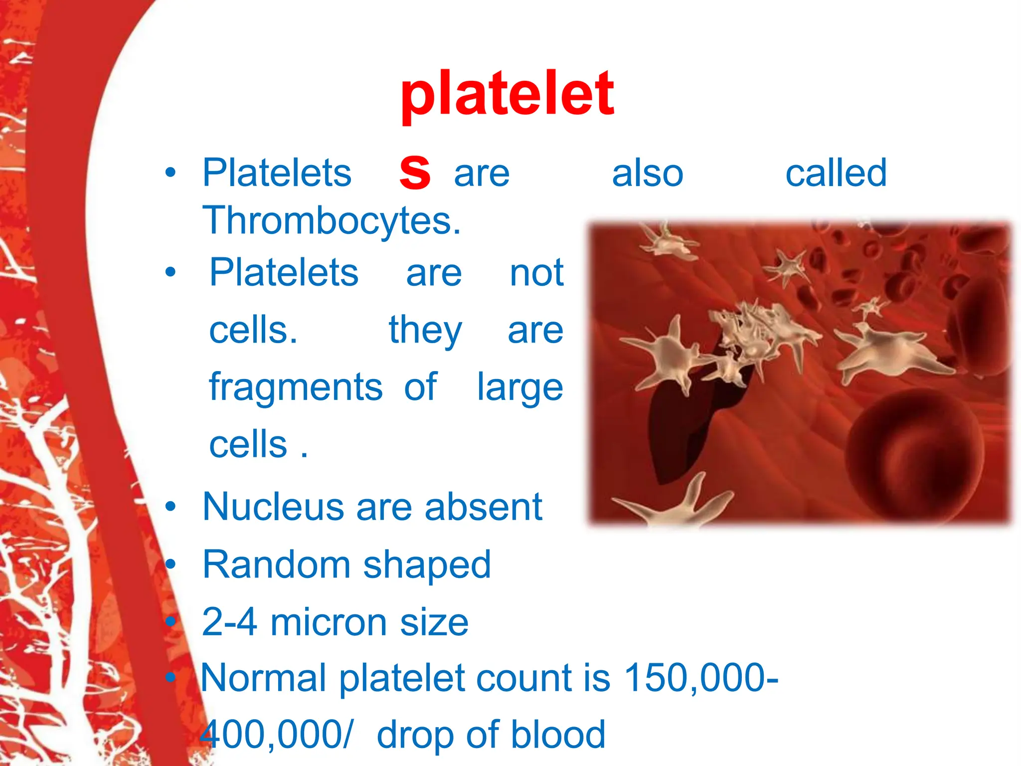 Types of blood cells ,plasma ,its anatomy | PPT