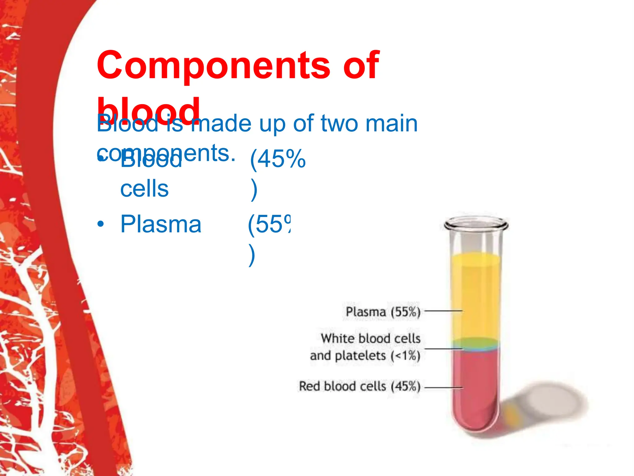 Types of blood cells ,plasma ,its anatomy | PPT