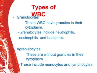 Types of blood cells ,plasma ,its anatomy | PPTX