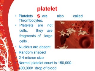Types of blood cells ,plasma ,its anatomy | PPT