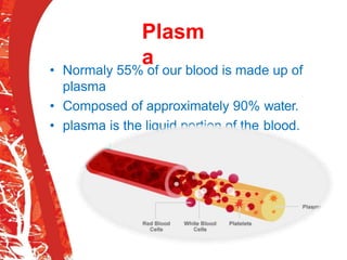 Types of blood cells ,plasma ,its anatomy | PPT