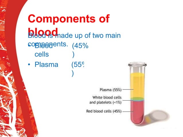 Types of blood cells ,plasma ,its anatomy | PPT