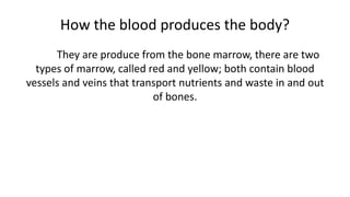 blood anatomy.pptx
