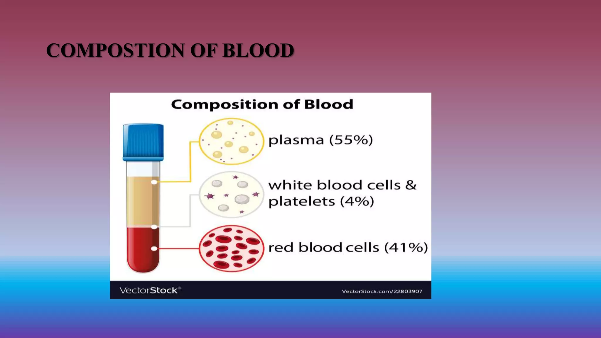Blood Anatomy and Physiology | PPTX