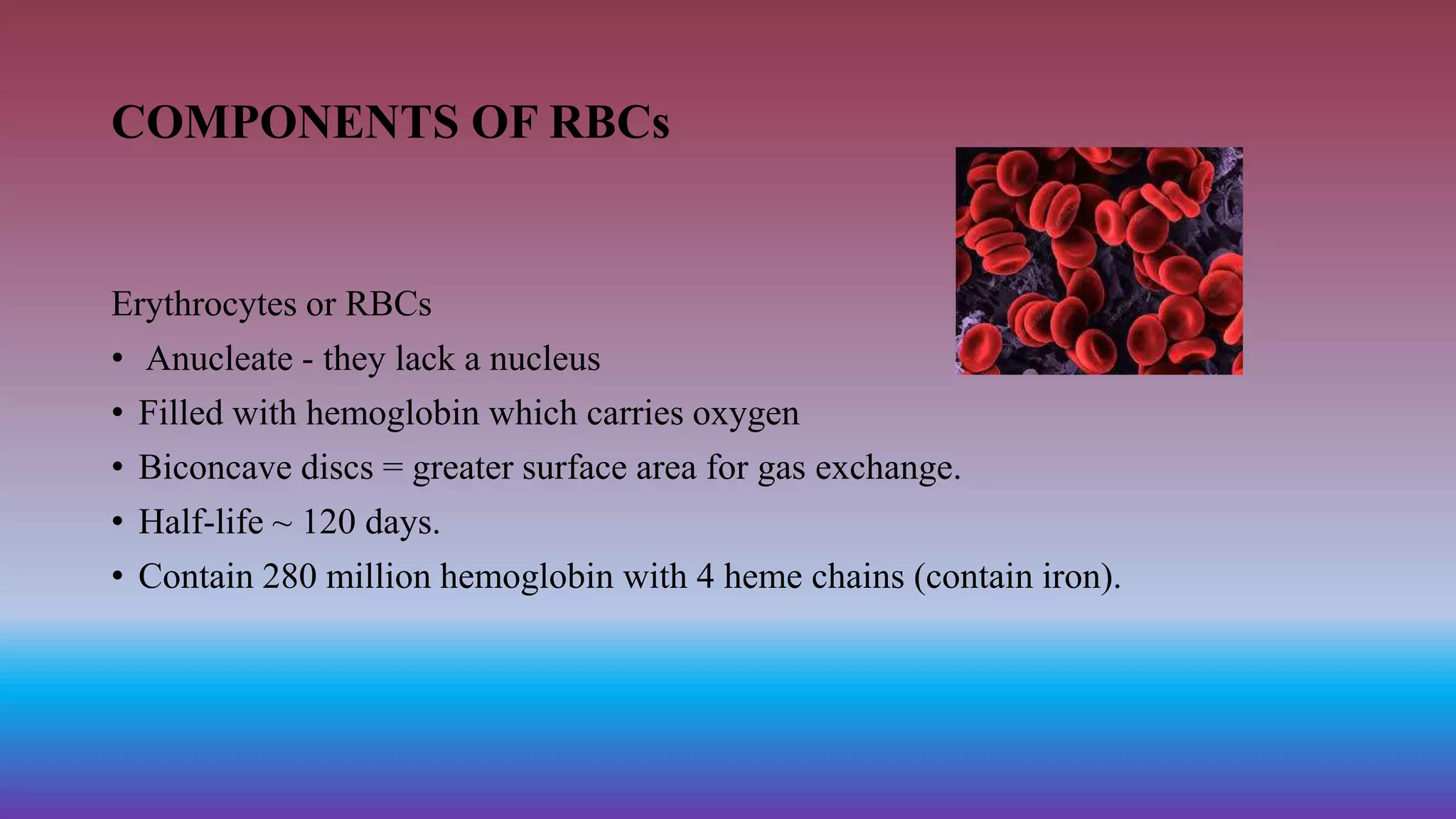 Blood Anatomy and Physiology | PPTX
