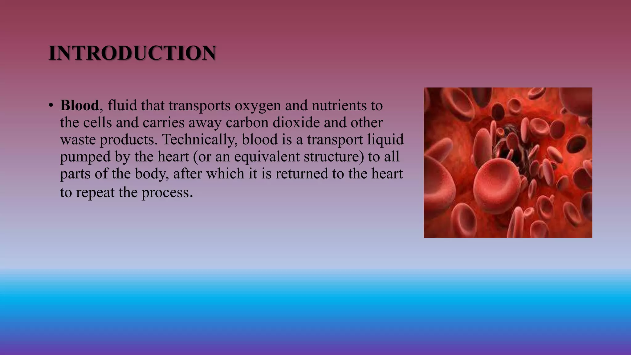 Blood Anatomy and Physiology | PPTX