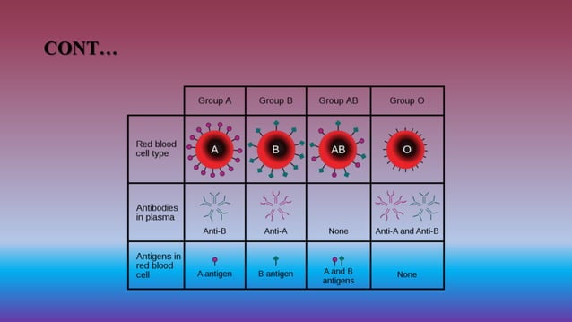 Blood Anatomy and Physiology | PPTX