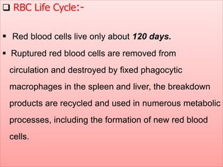 blood anatomy ppt.pptx
